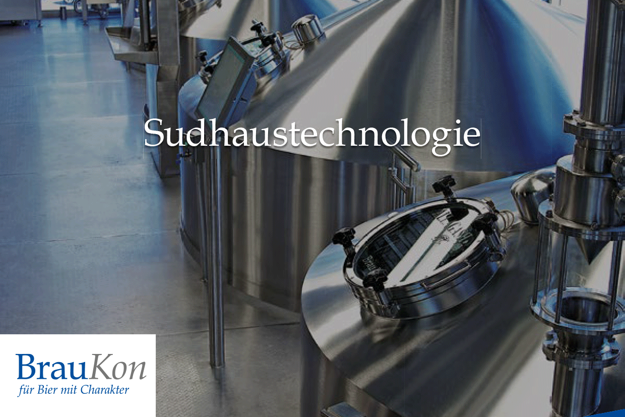 braukon_sudhaustechnologie › effizient-consulting